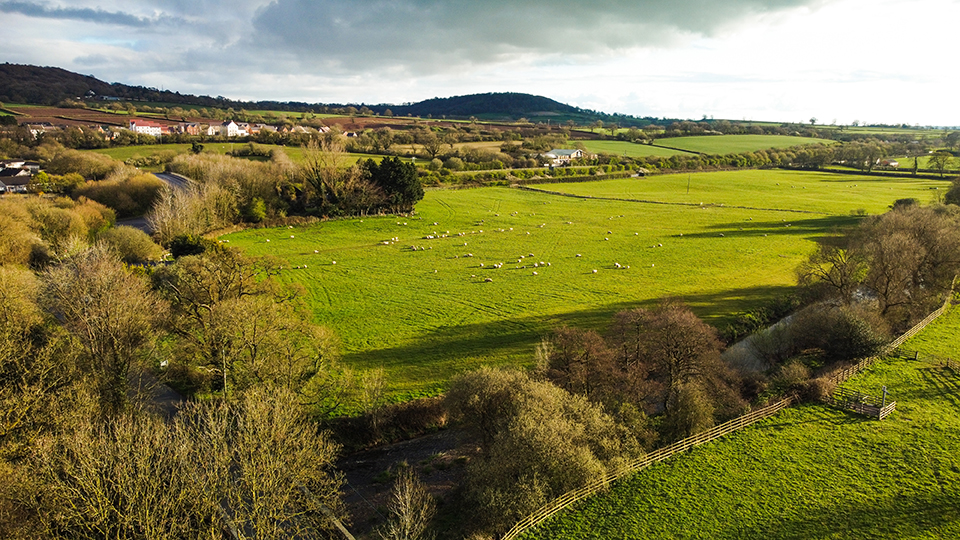 Gallery - Honiton Town Council